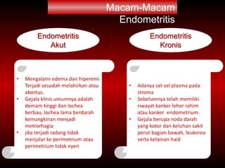 Endometritis | PPTX