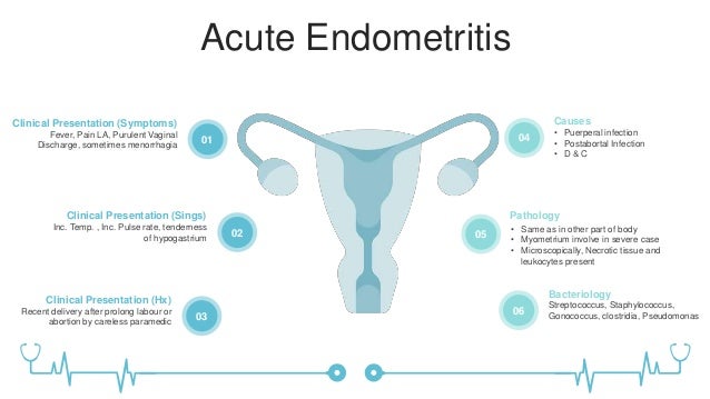 Endometritis - The Clinical Scenario
