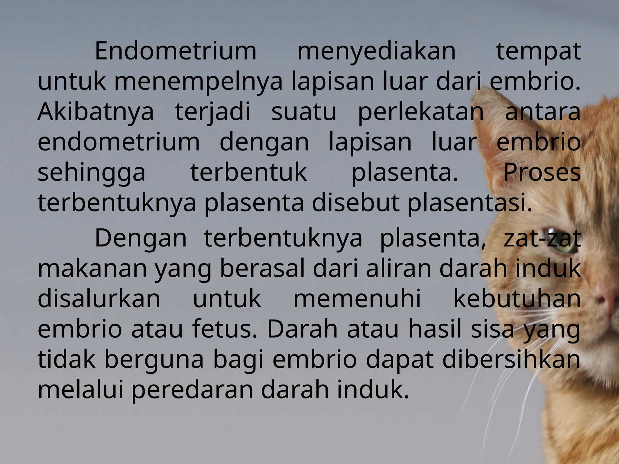 ENDOMTERIUM MERUPAKAN BAGIAN DALAM PADA ORGAN REPRODUKSI TERNAK | PPTX