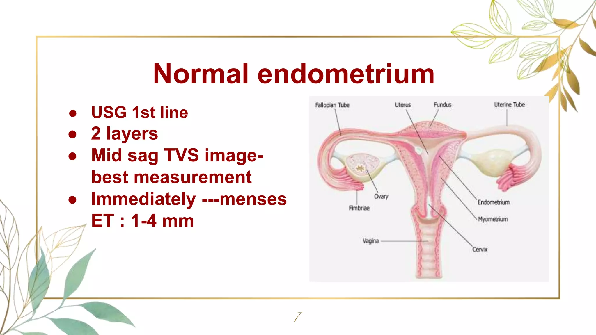 Endometrium and its pathologies | PPTX