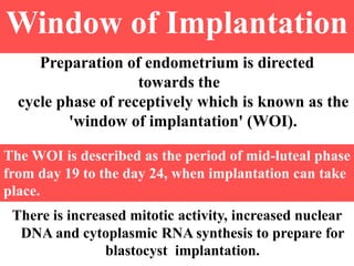 Thin Endometrium & Infertility (Part – I) , Dr. Sharda Jain , Life Care ...