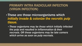 Endodontic Microbiology | PDF