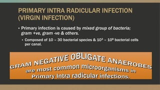 Endodontic Microbiology | PDF