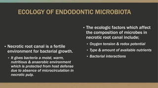 Endodontic Microbiology | PDF