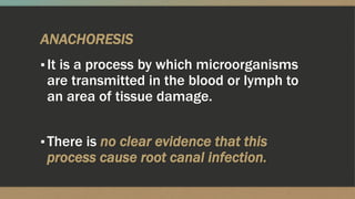 Endodontic Microbiology | PDF