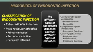 Endodontic Microbiology | PDF