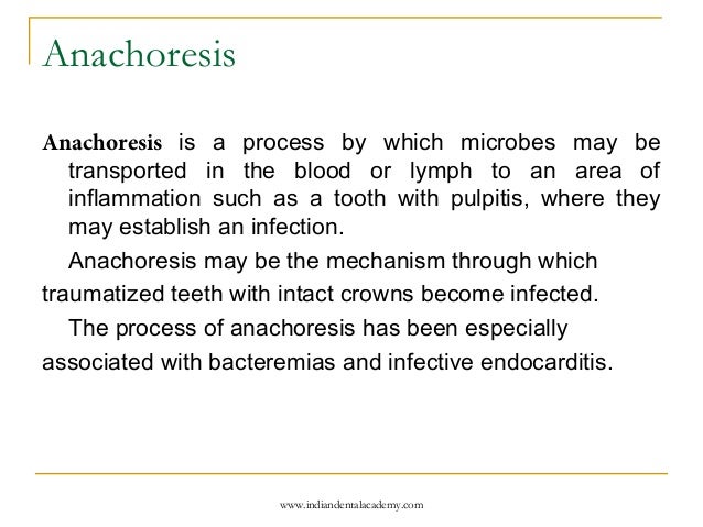 Endodontic microbiology / dental implant courses