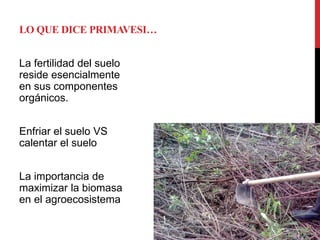 En donde se ubica la fertilidad en la agricultura | PDF