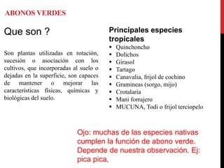 En donde se ubica la fertilidad en la agricultura | PDF
