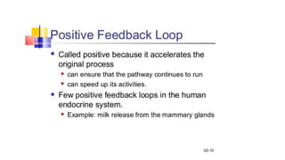 endo new lec power point.pptx