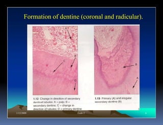 Endo note 2 iintroduction | PPTX