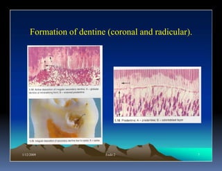Endo note 2 iintroduction | PPTX | Dental Health | Diseases and Conditions
