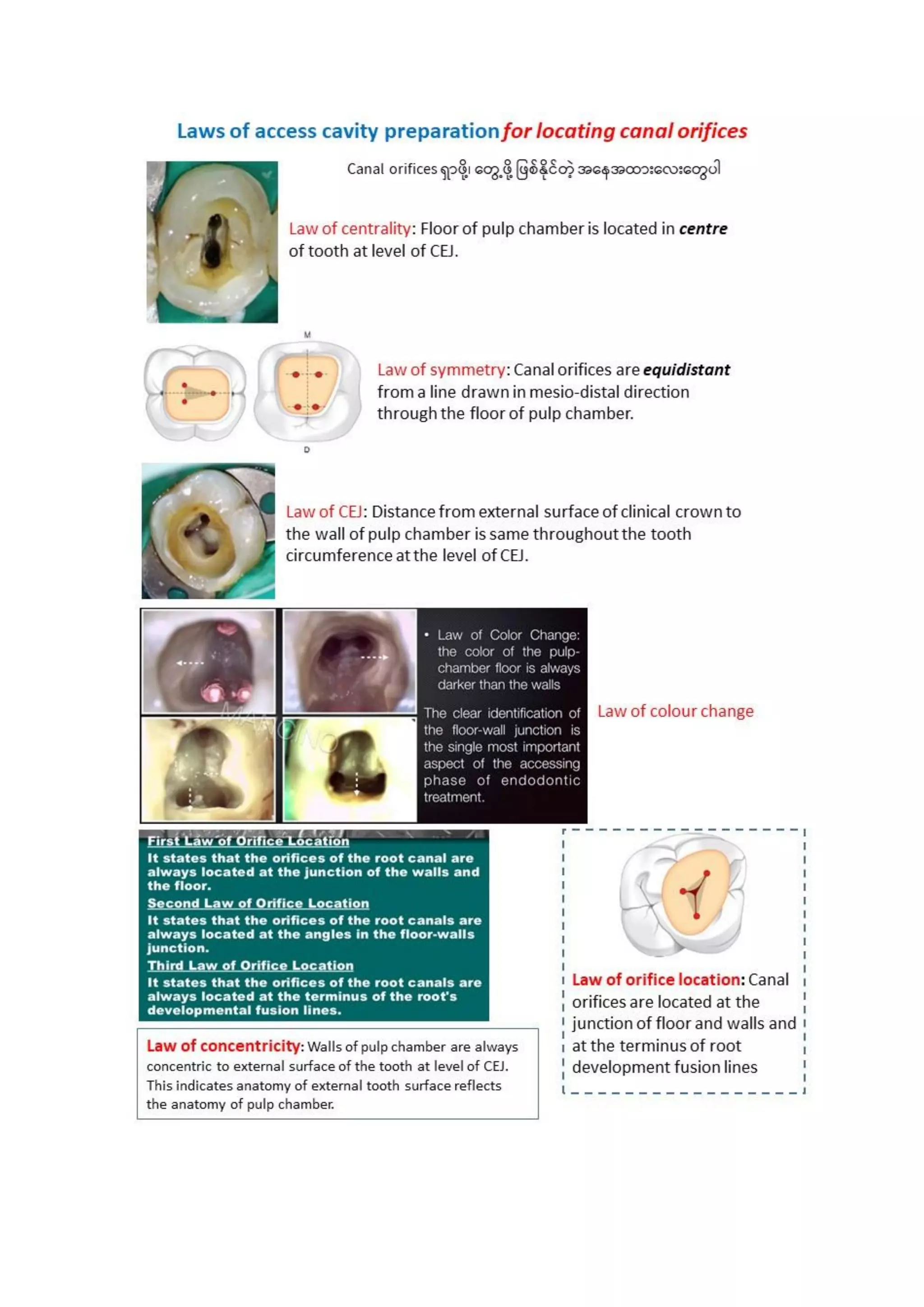 Endo notes (revised18) | PDF