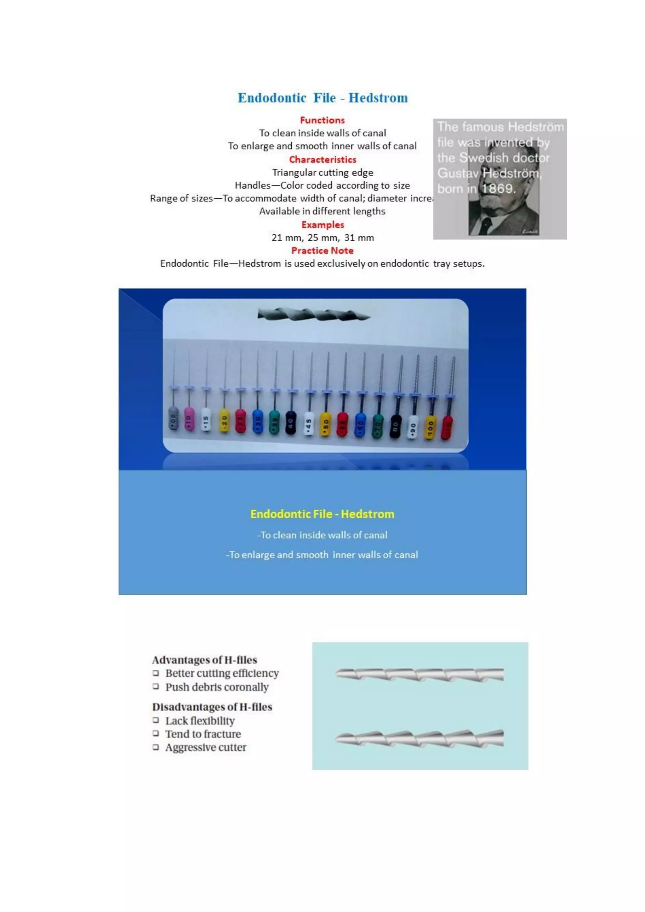 Endo notes (revised18) | PDF
