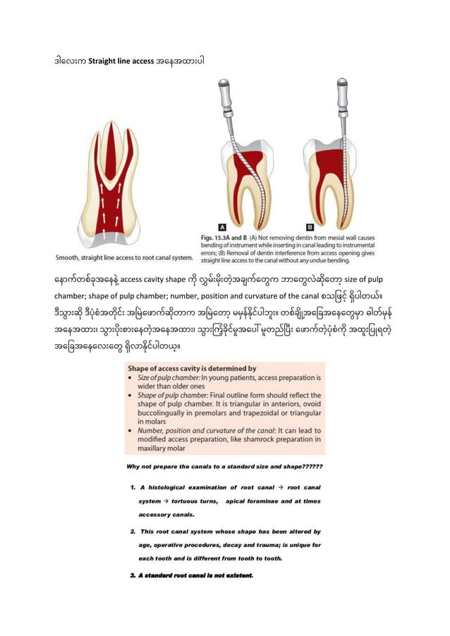 Endo notes (revised18) | PDF
