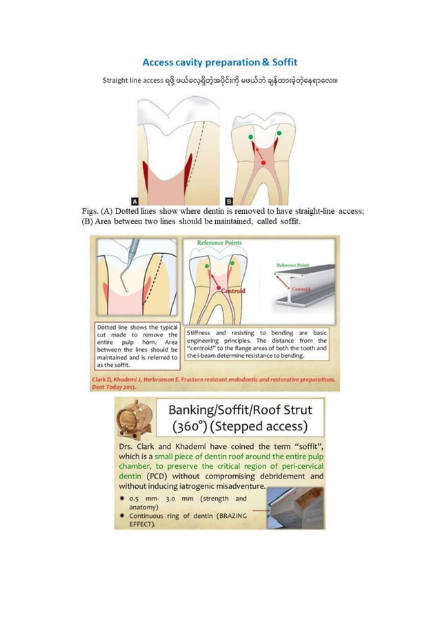 Endo notes (revised18) | PDF