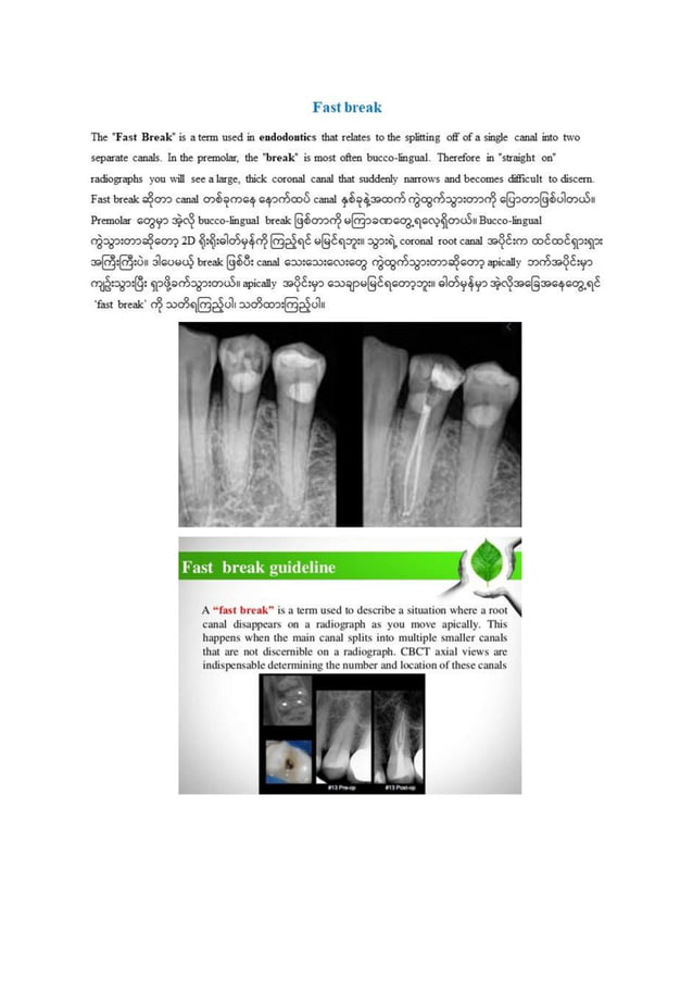 Endo notes (revised18) | PDF