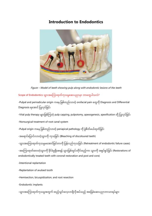 Endo notes (revised18) | PDF