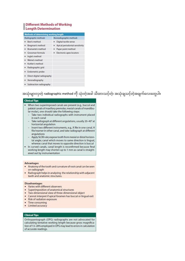 Endo notes (revised18) | PDF