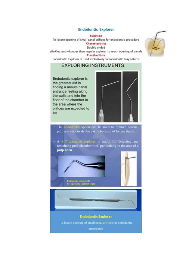 Endo notes (revised18) | PDF