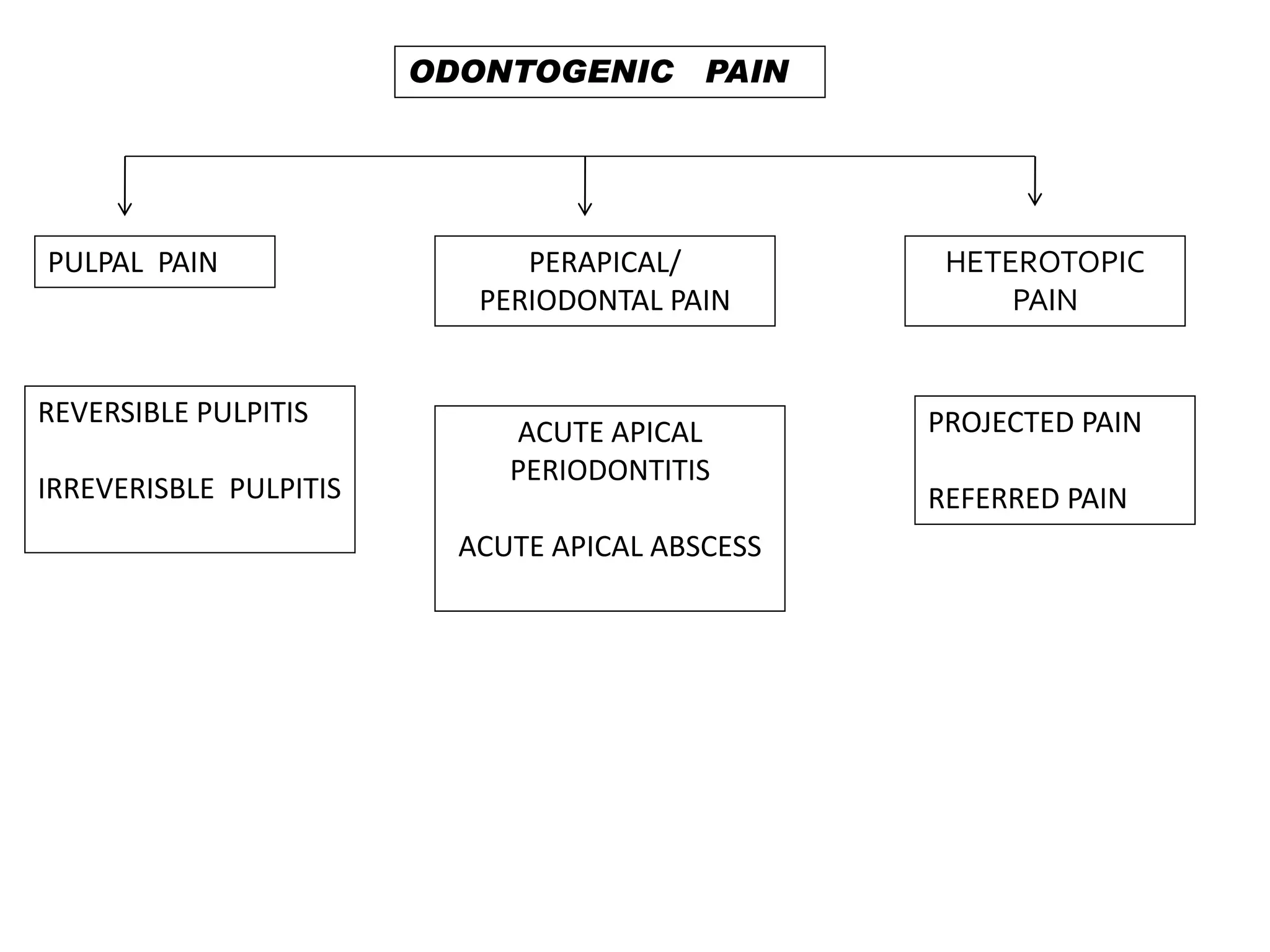 Endodontic Pain | PDF