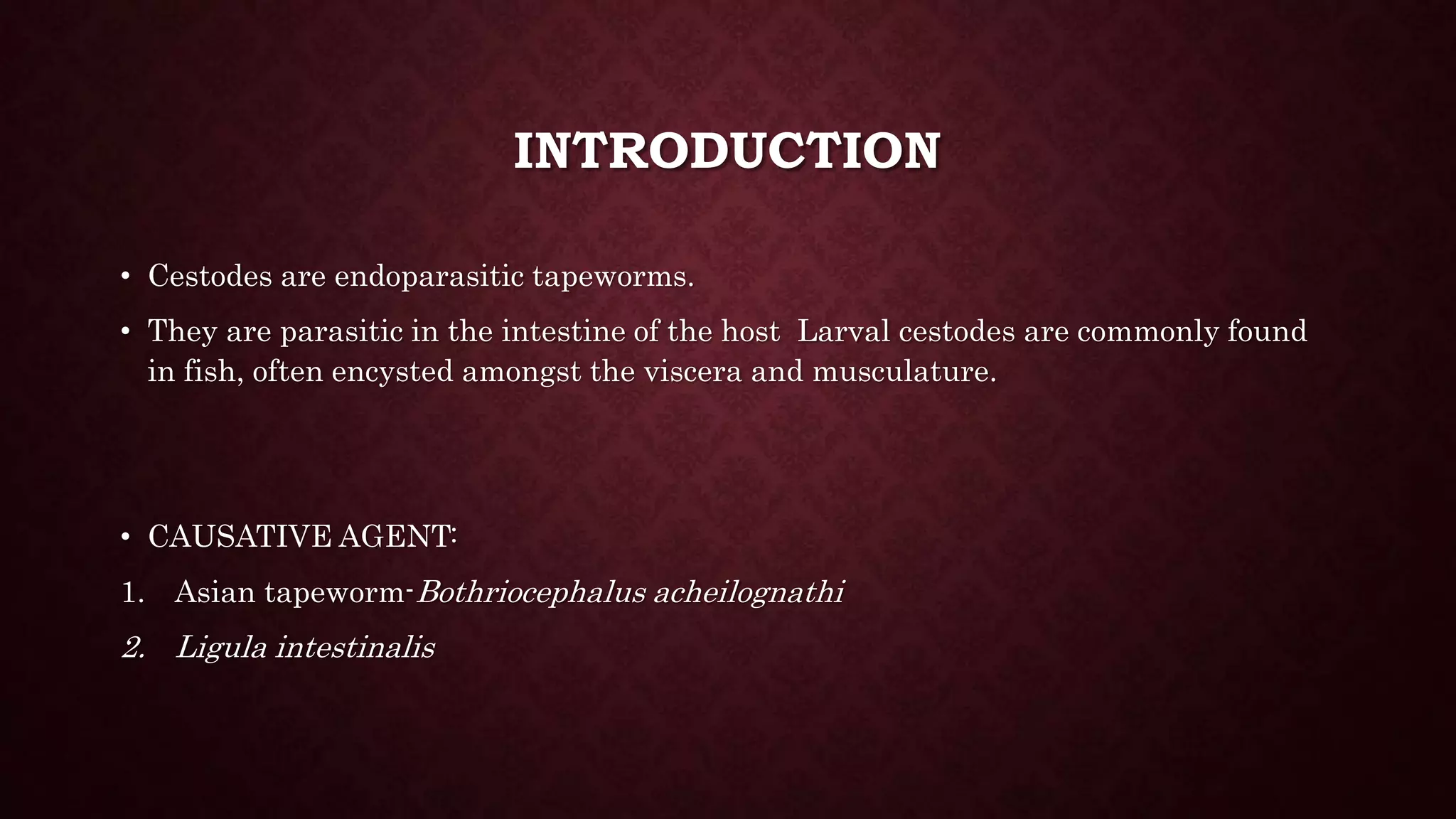 Endoparasite of fish | PPTX | Digestive Disorders | Diseases and Conditions