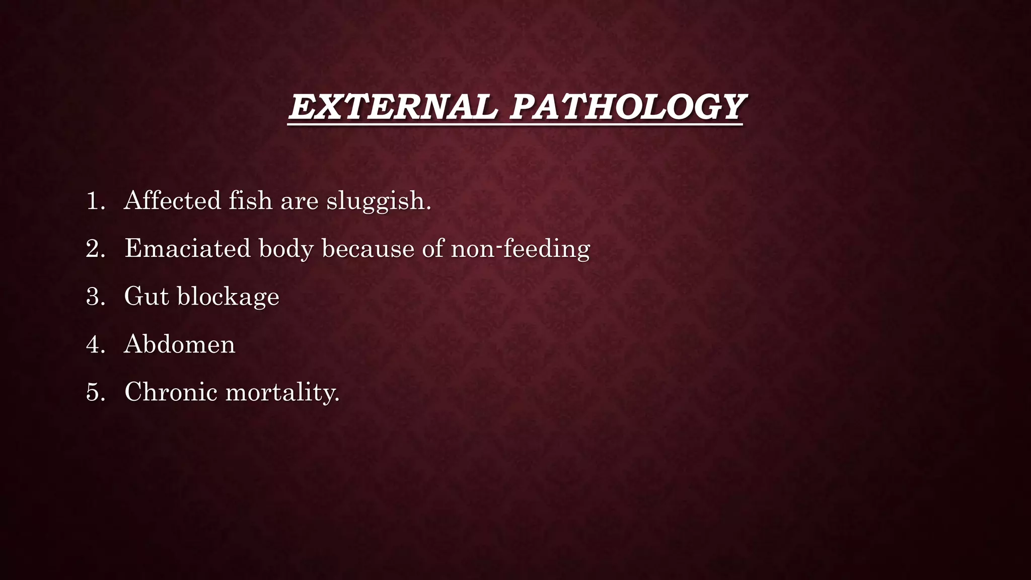 Endoparasite of fish | PPTX
