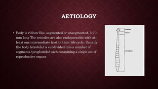 Endoparasite of fish | PPTX