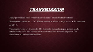 Endoparasite of fish | PPTX