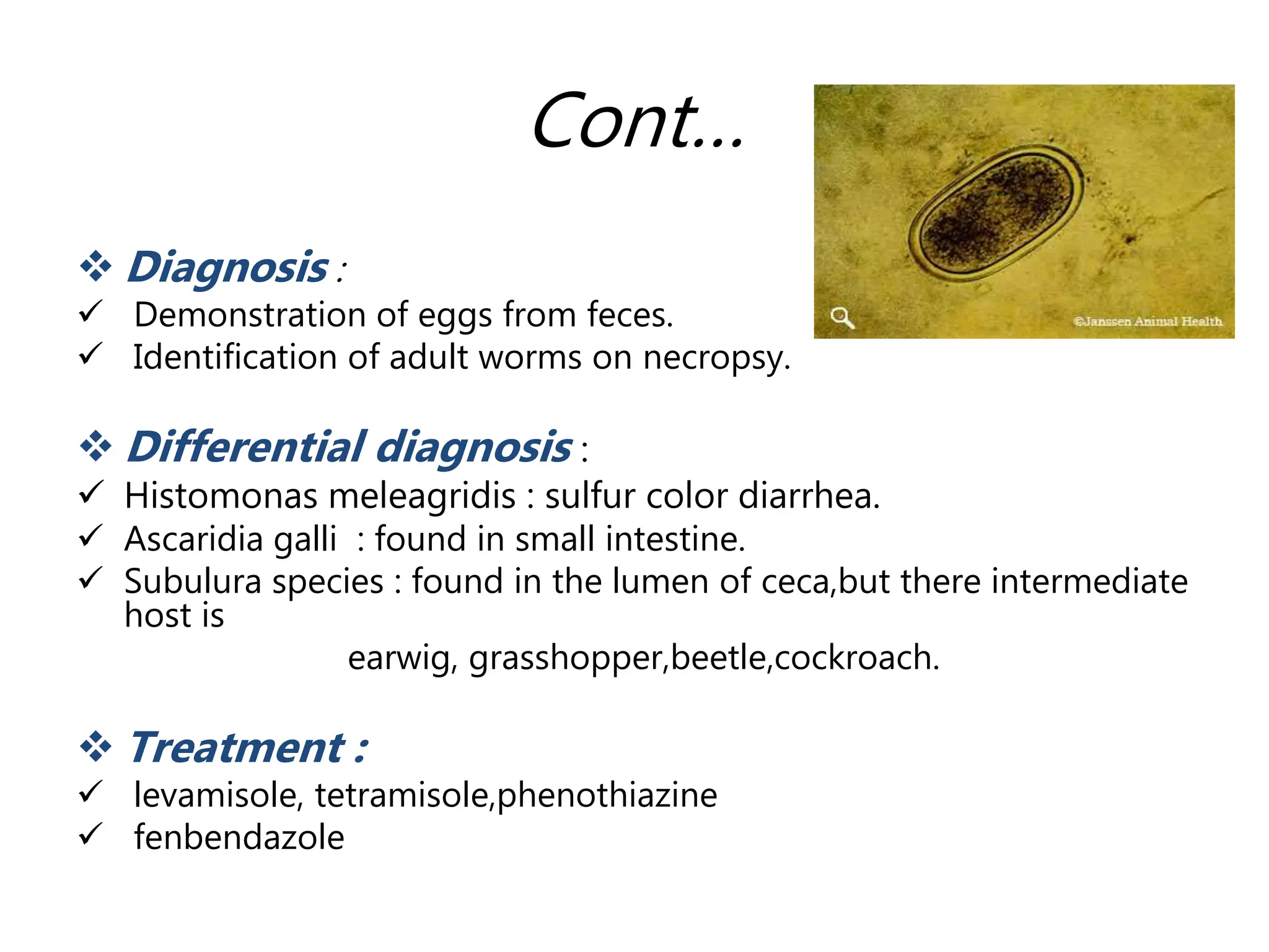 Endoparasite of poultry: Helminth and its effect | PPTX