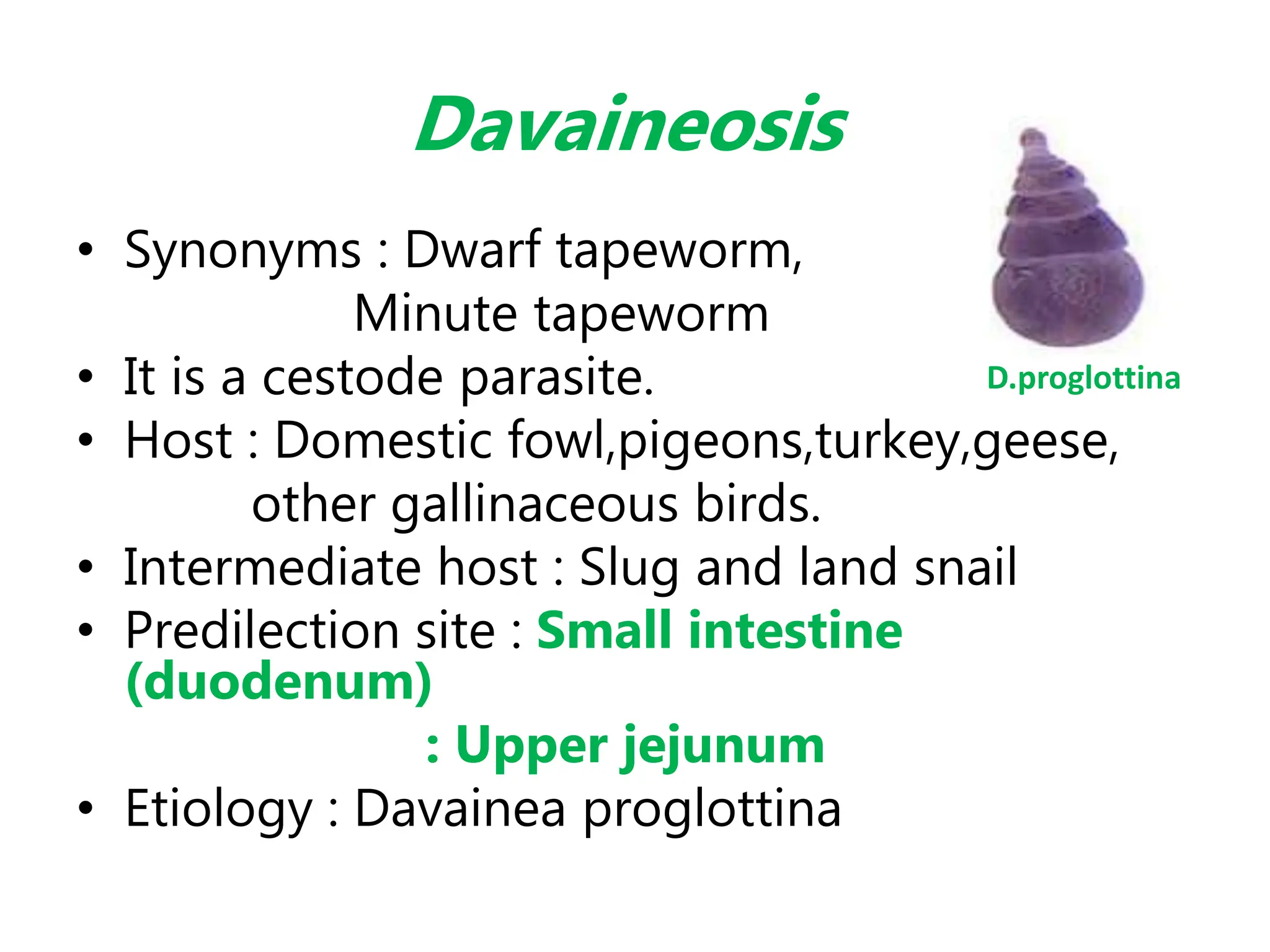 Endoparasite of poultry: Helminth and its effect | PPTX
