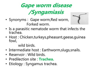 Endoparasite of poultry: Helminth and its effect | PPTX