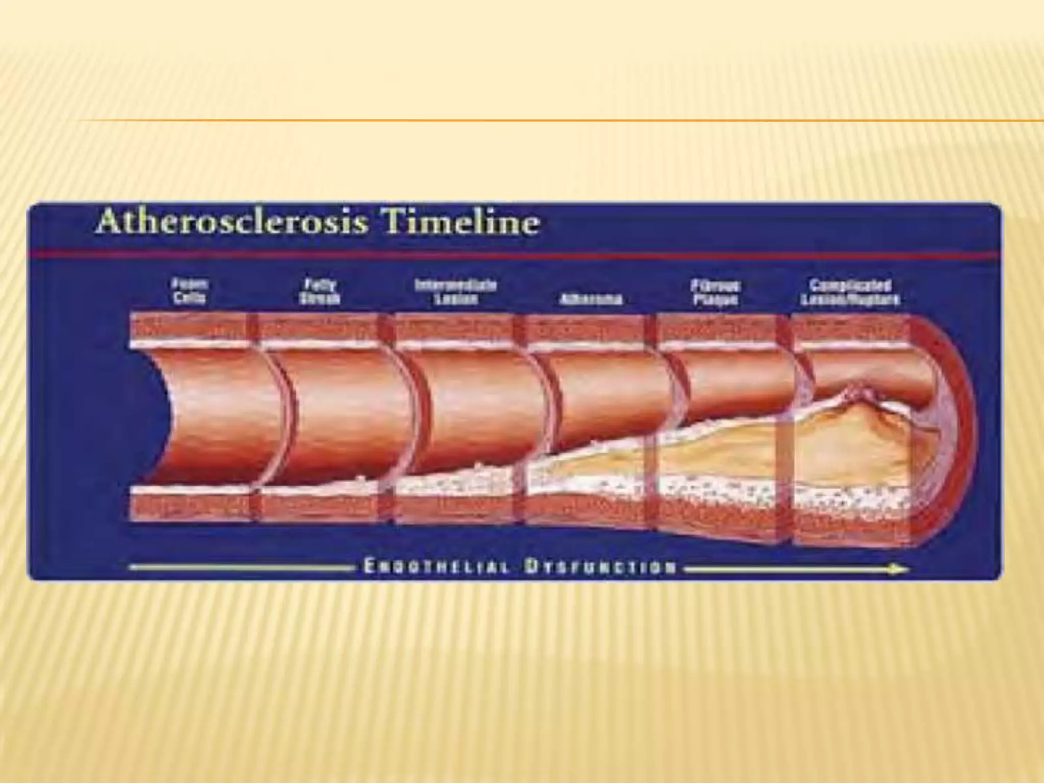 Endo Pat2000 Sales Presentation | PPTX