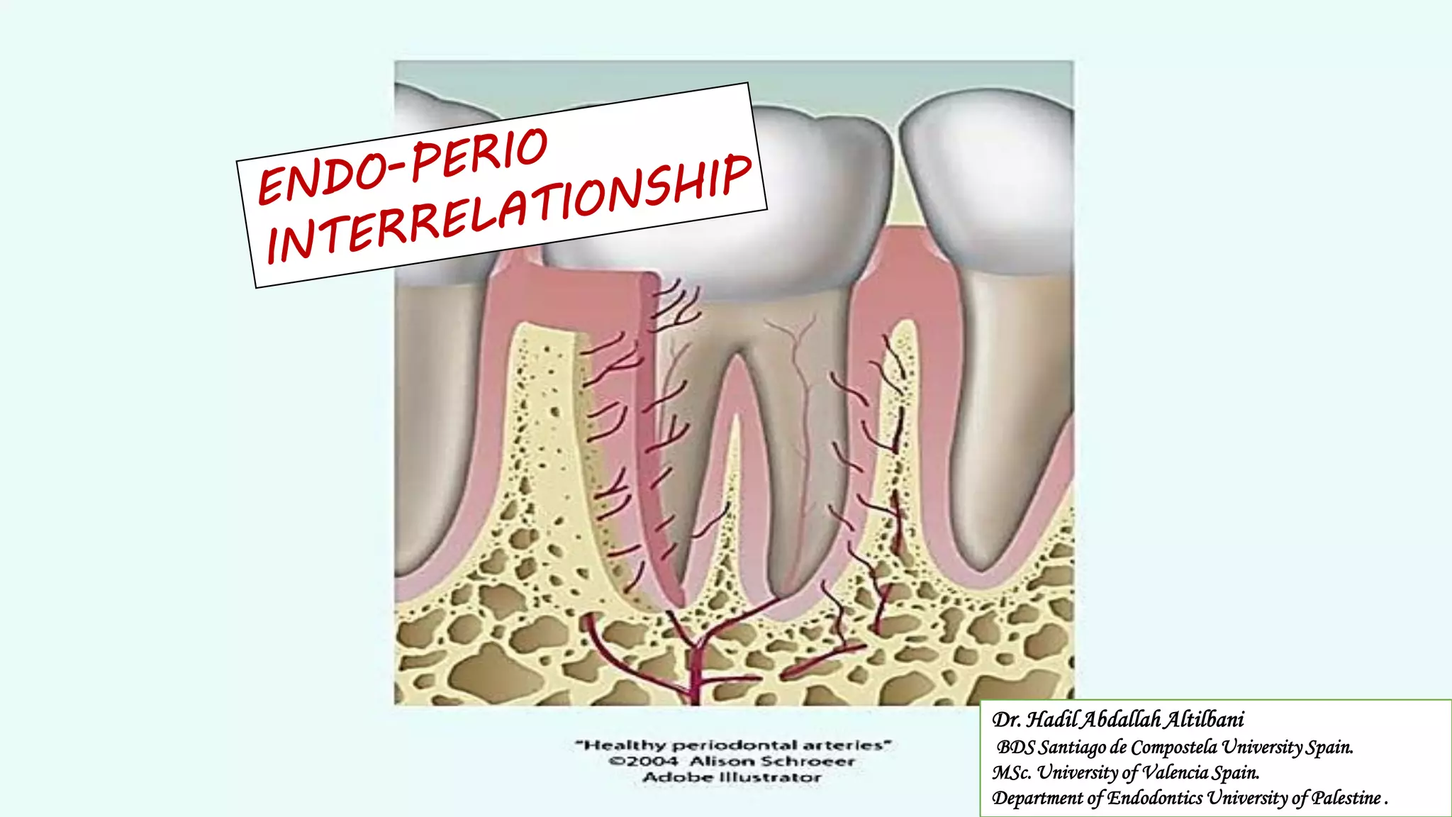 Endo perio 2020 (1).pdf