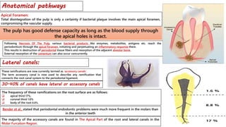 Endo perio 2020 (1).pdf