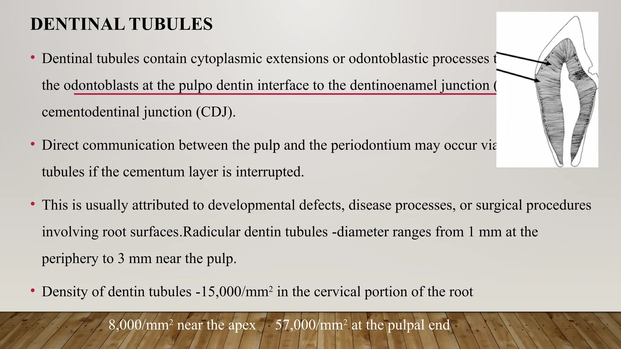 ENDO PERIO LESION part 1............pptx