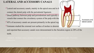 ENDO PERIO LESION part 1............pptx