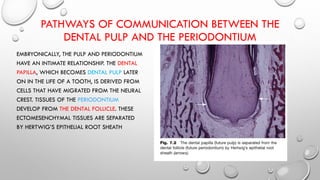 Endo perio relation | PDF
