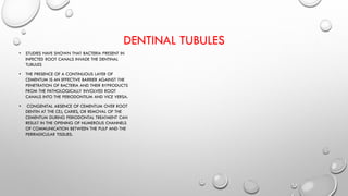 Endo perio relation | PDF