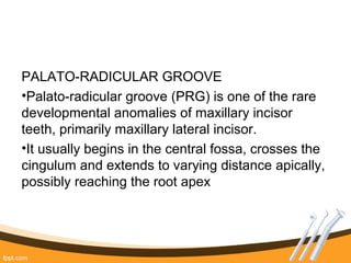 Use of Platelet-Rich Plasma Combined With Hydroxyapatite in the ...