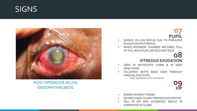 Endophthalmitis | PPTX | Eye and Vision Conditions | Diseases and ...