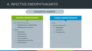 Endophthalmitis | PPTX | Eye and Vision Conditions | Diseases and ...