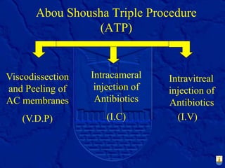 Prof Dr Fadel AbouShousha Triple procedure in management of ...