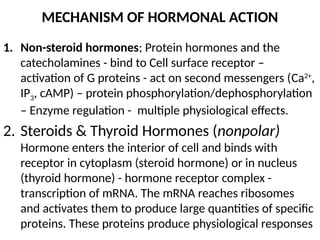 Human Physiology: ENDO PHYSIOLOGY I.pptx