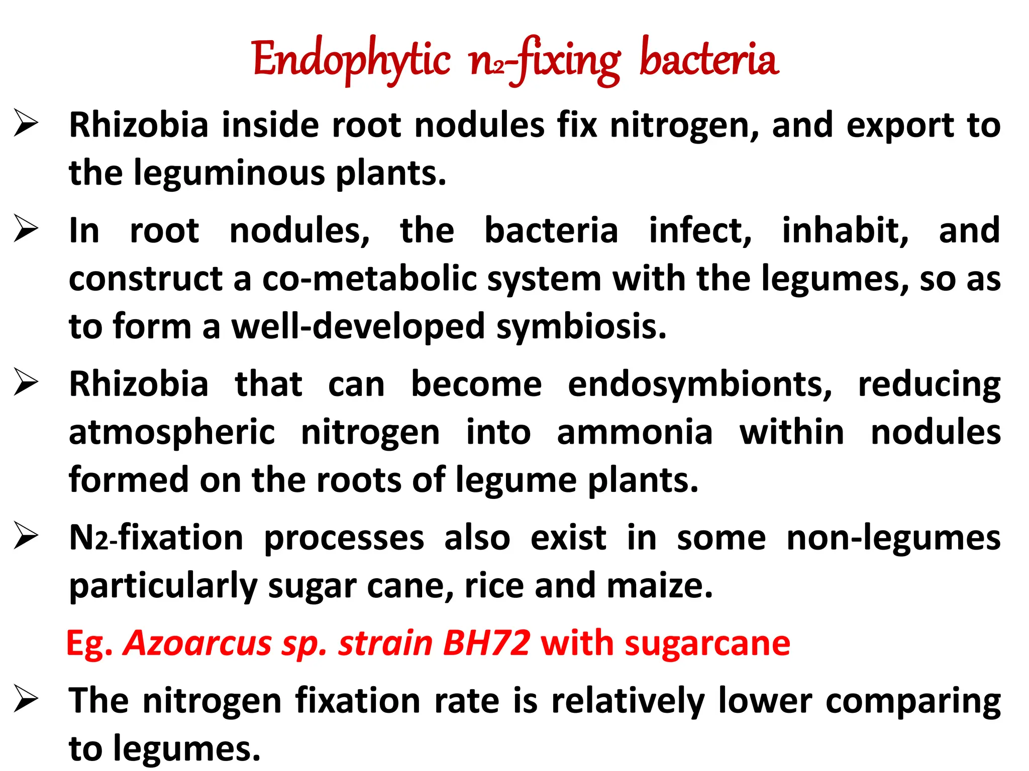 endophyte.pptx