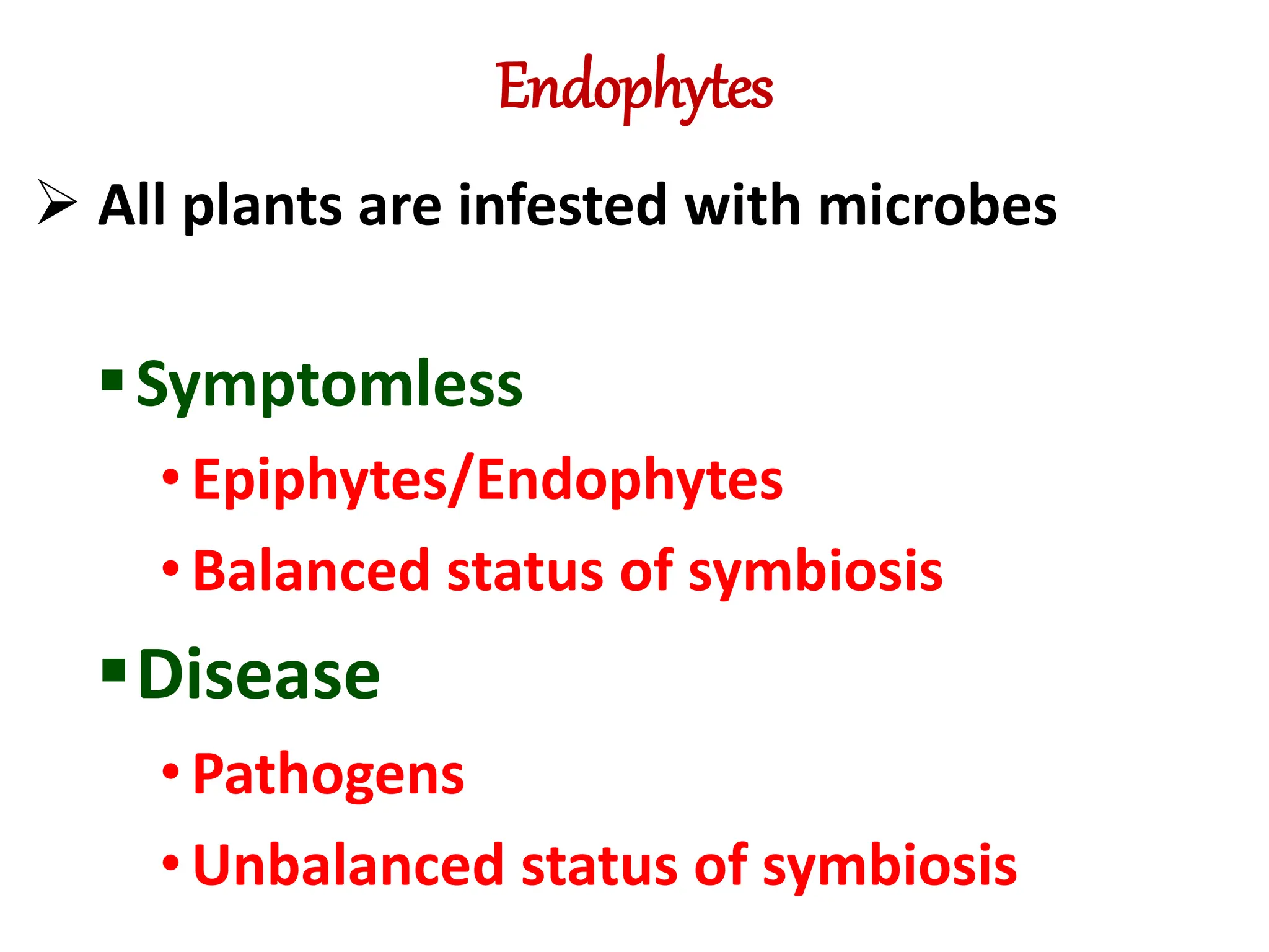 endophyte.pptx