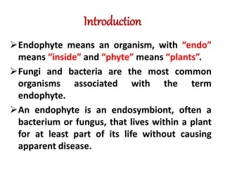 endophyte.pptx