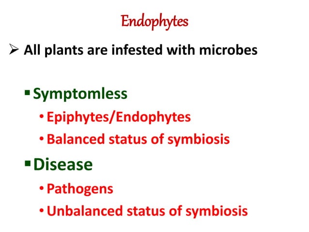 endophyte.pptx | Agriculture | Industries