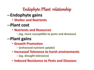 endophyte.pptx