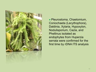 Endophyte(by: elham lasemi PhD of nematology) | PPTX